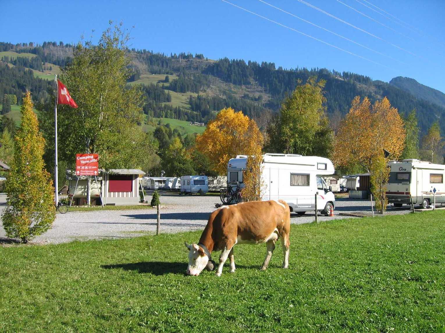 Holiday region Gstaad: 4*-Camping Vermeille