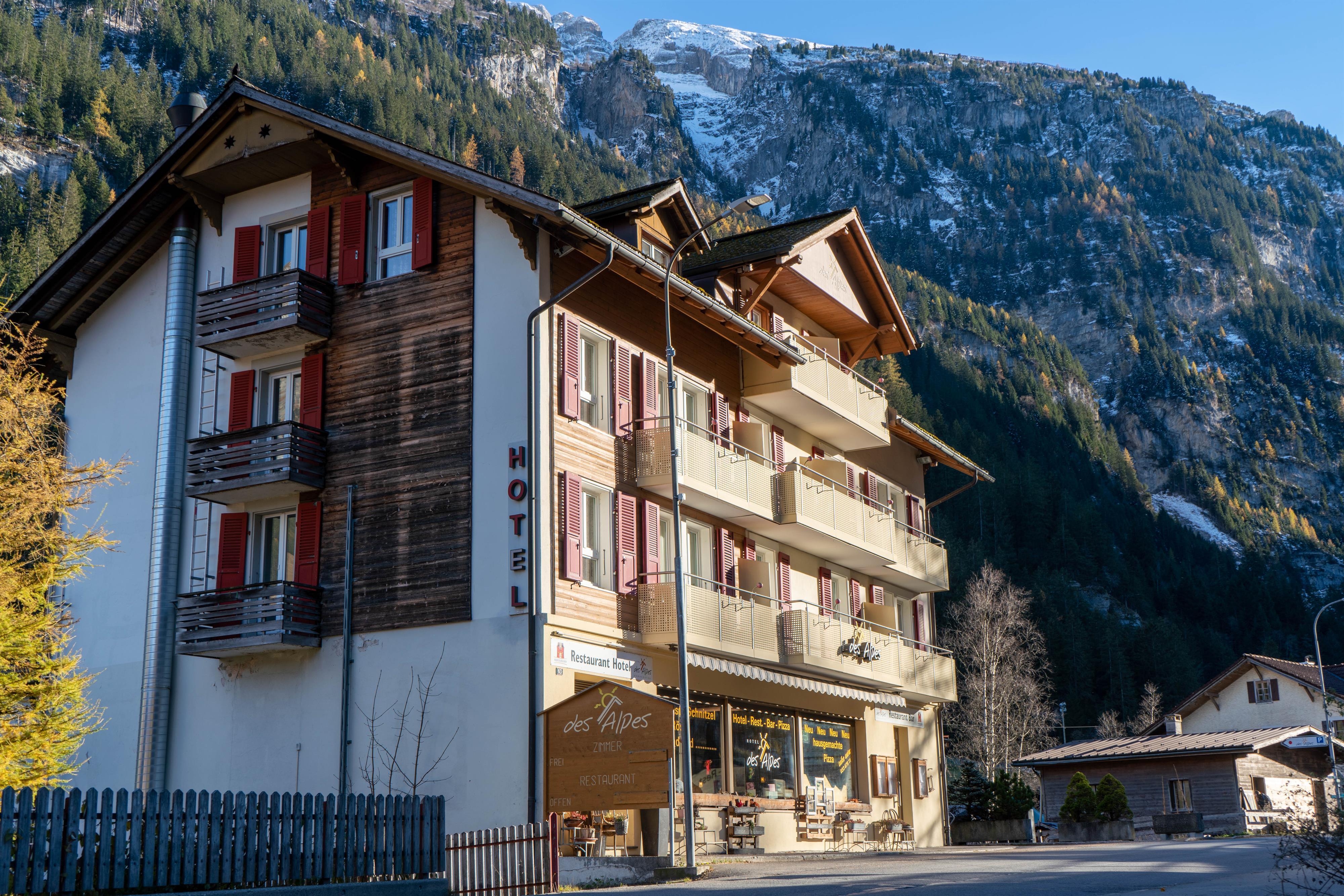 Hotel des Alpes