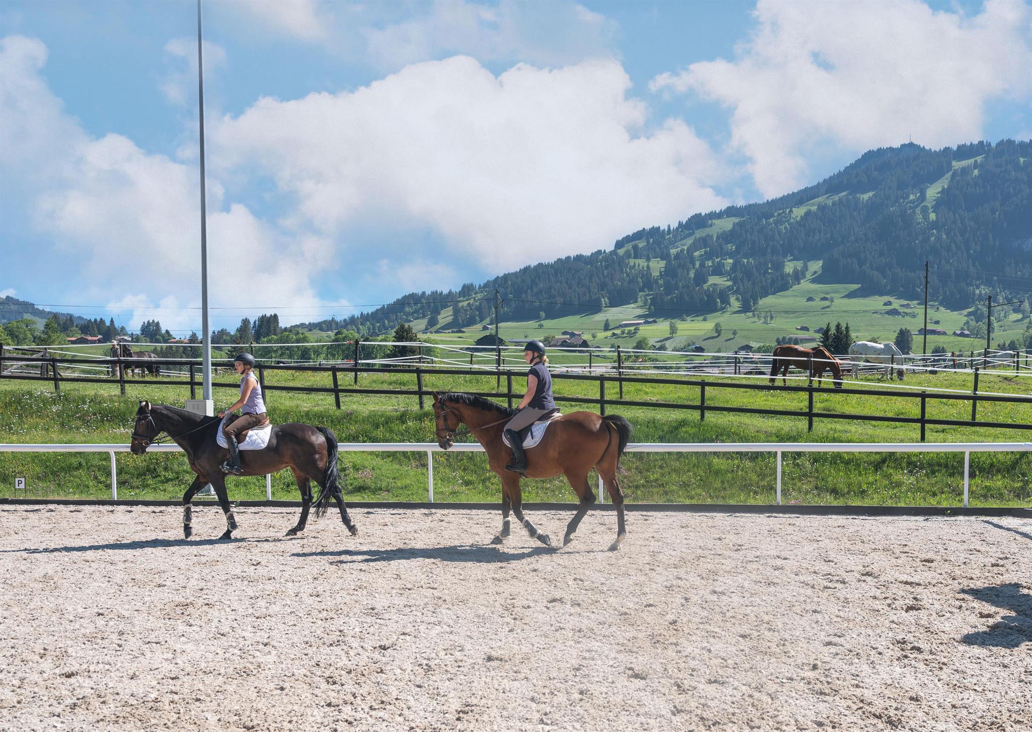 Riding school Gstaad