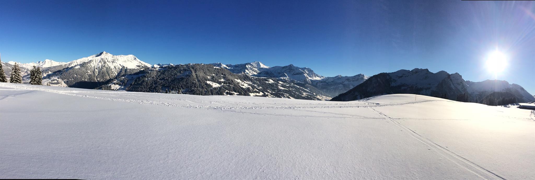 Guided snowshoe hike