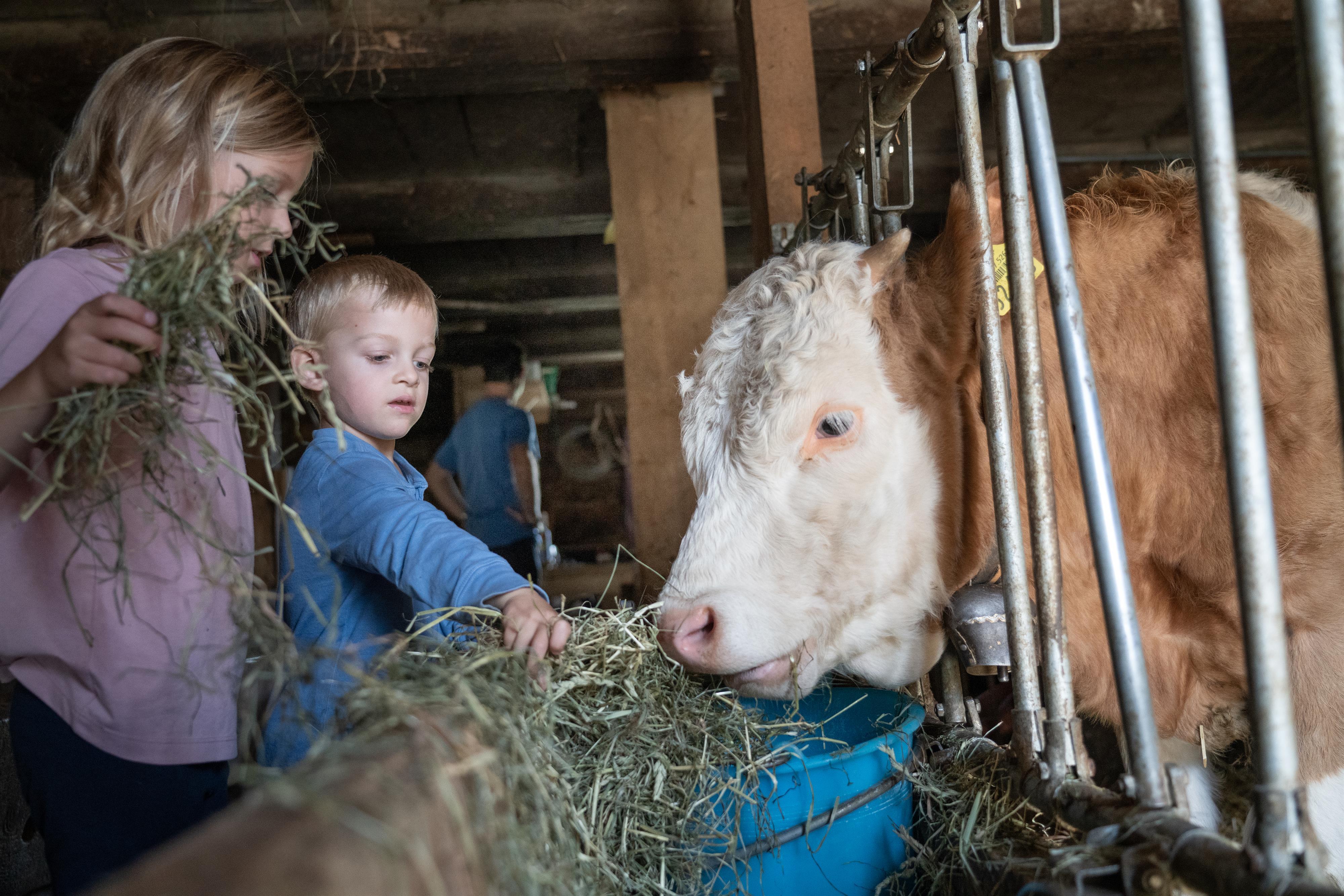 Farm visite family Perreten