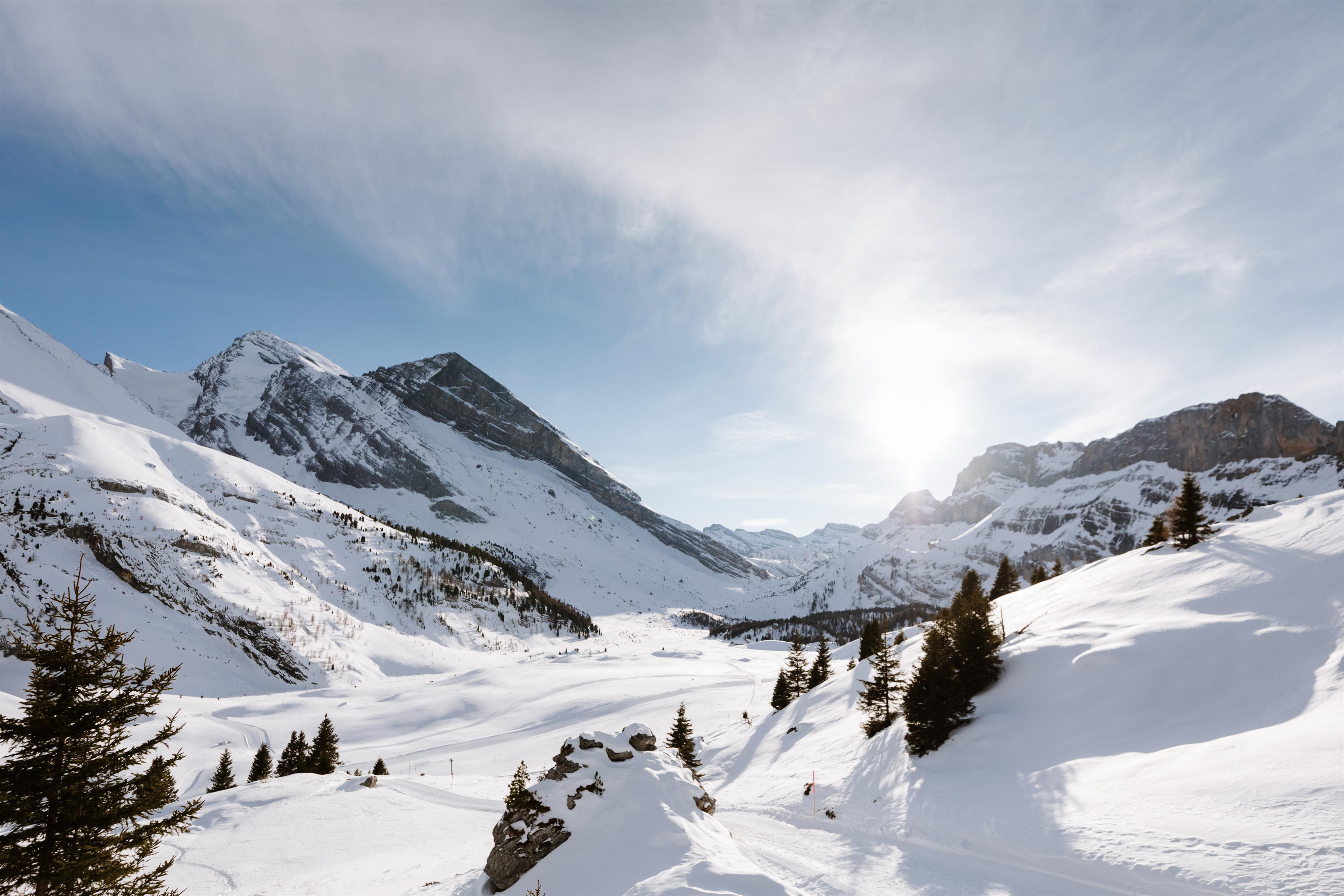 Alpine Dream