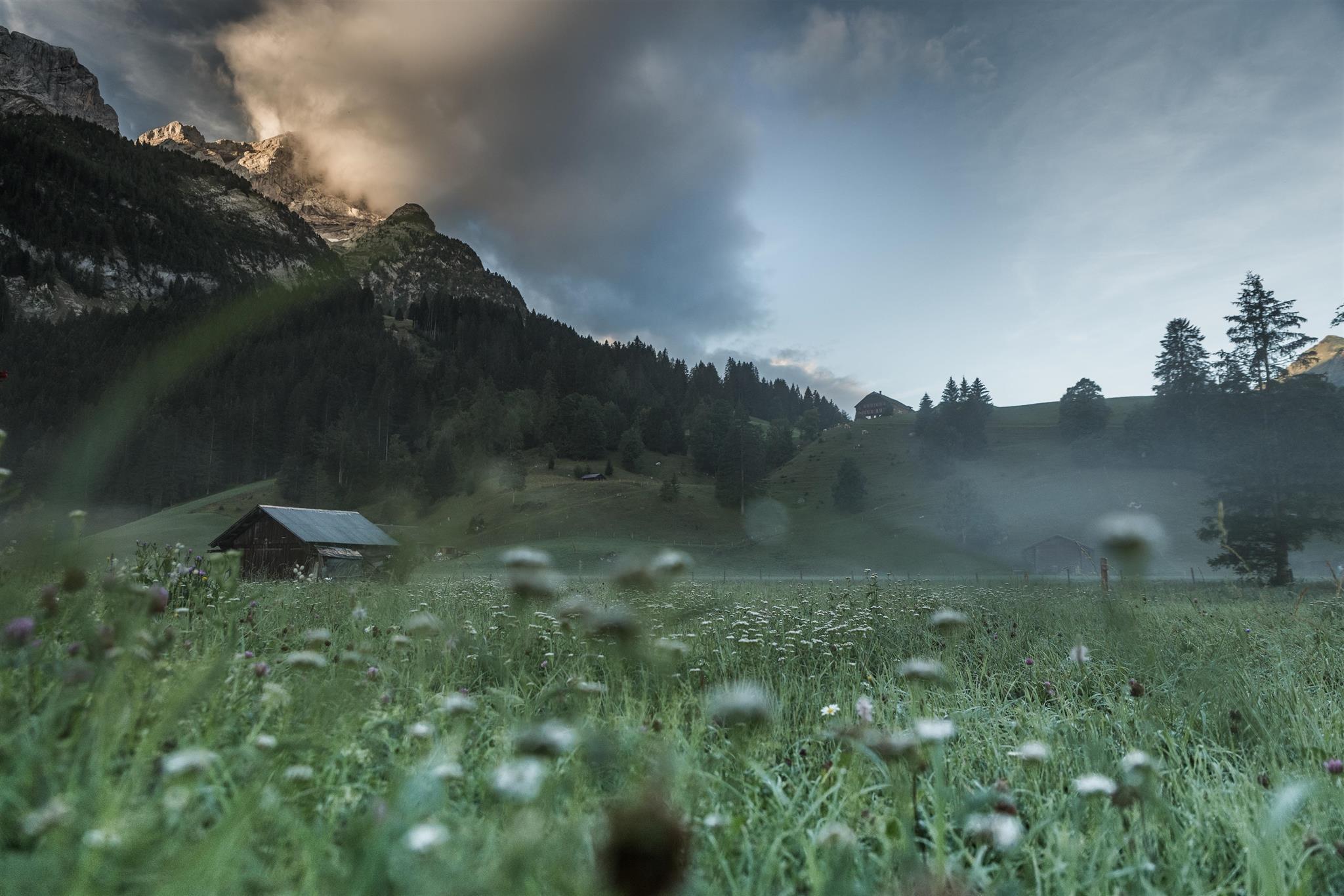 Feutersoey: Das Sprungbrett zum Arnensee