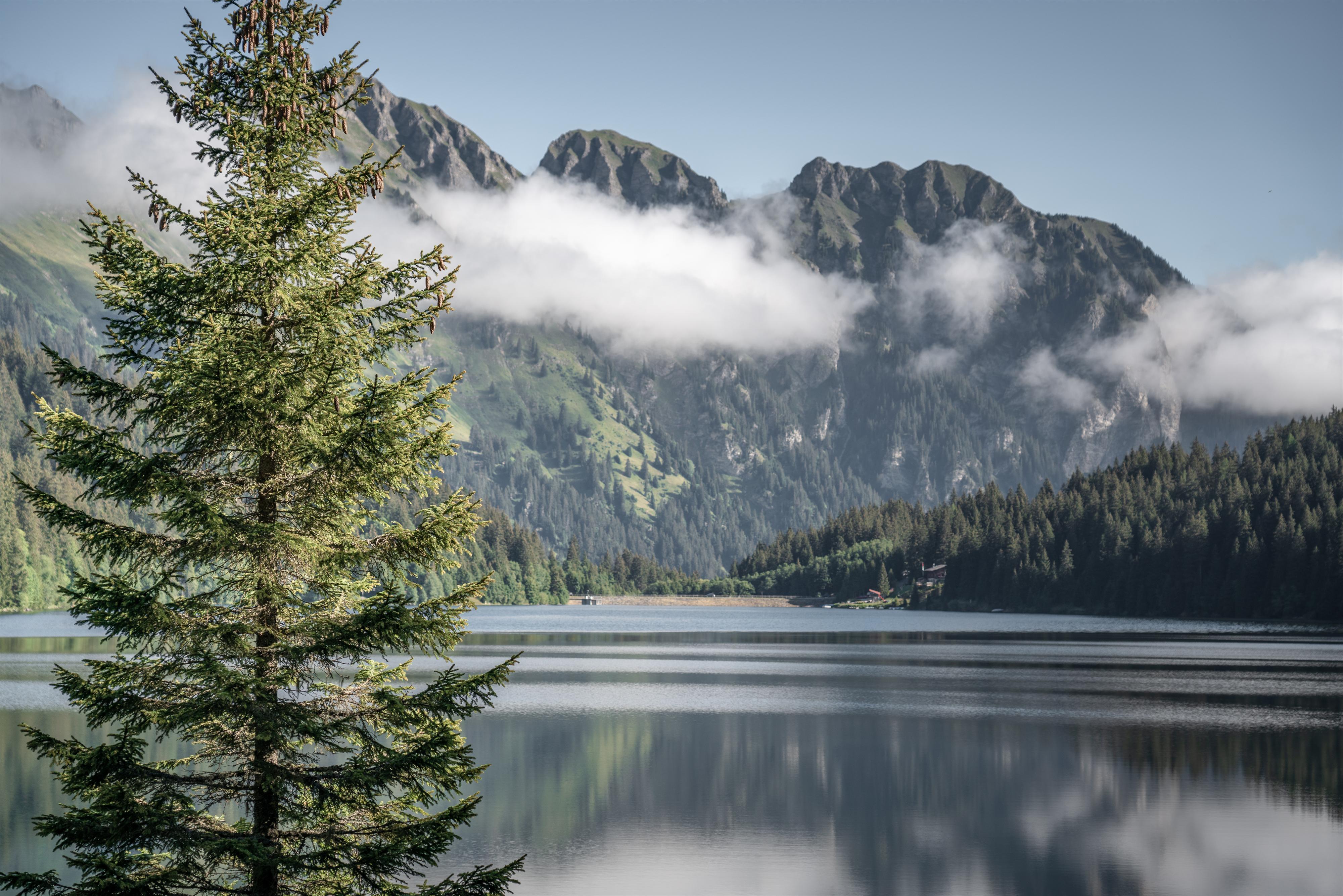Hitch-hiking bench Arnensee: lake dam