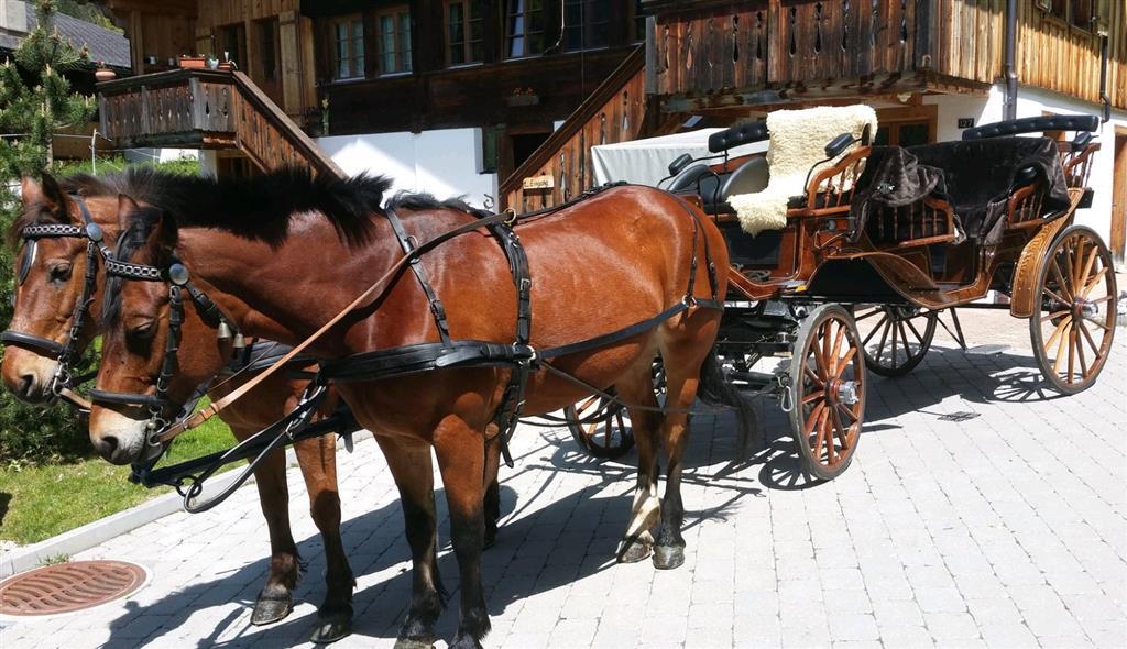 Carriages rides Walter Reuteler