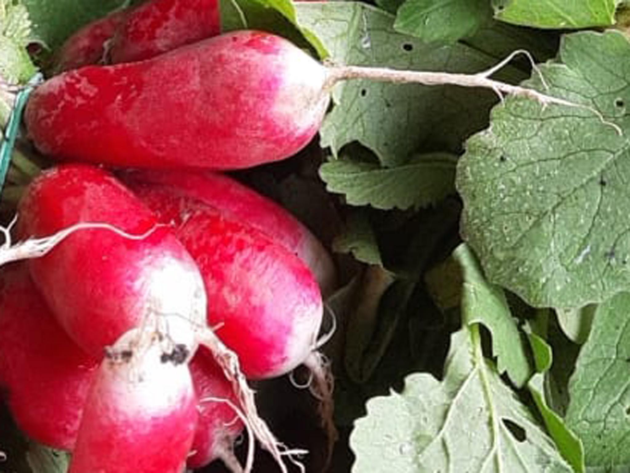 Kuntilerhof Axams - MUTTERERALM INNSBRUCK