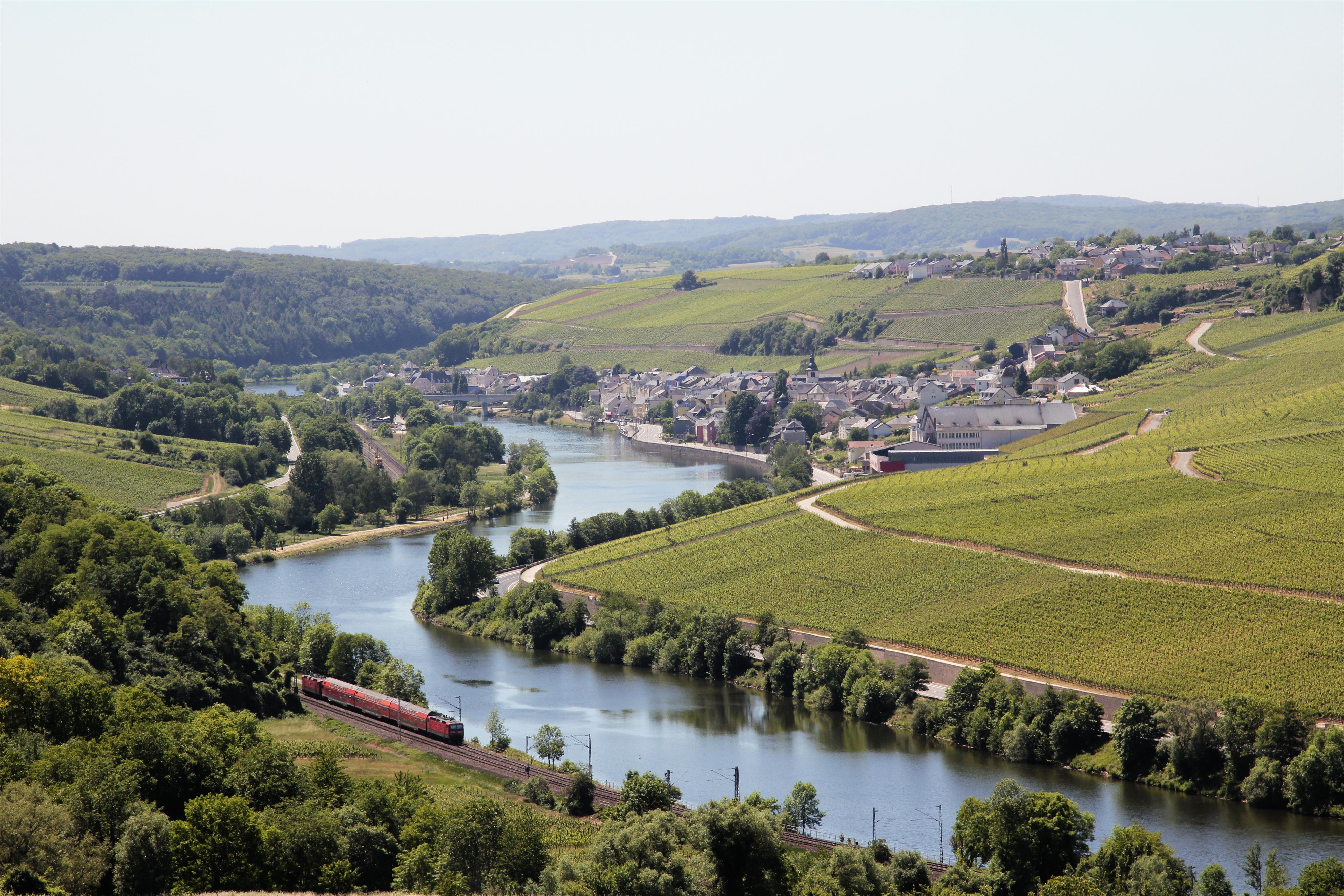 Winery Michael Backendorf | Barrier-free hosts