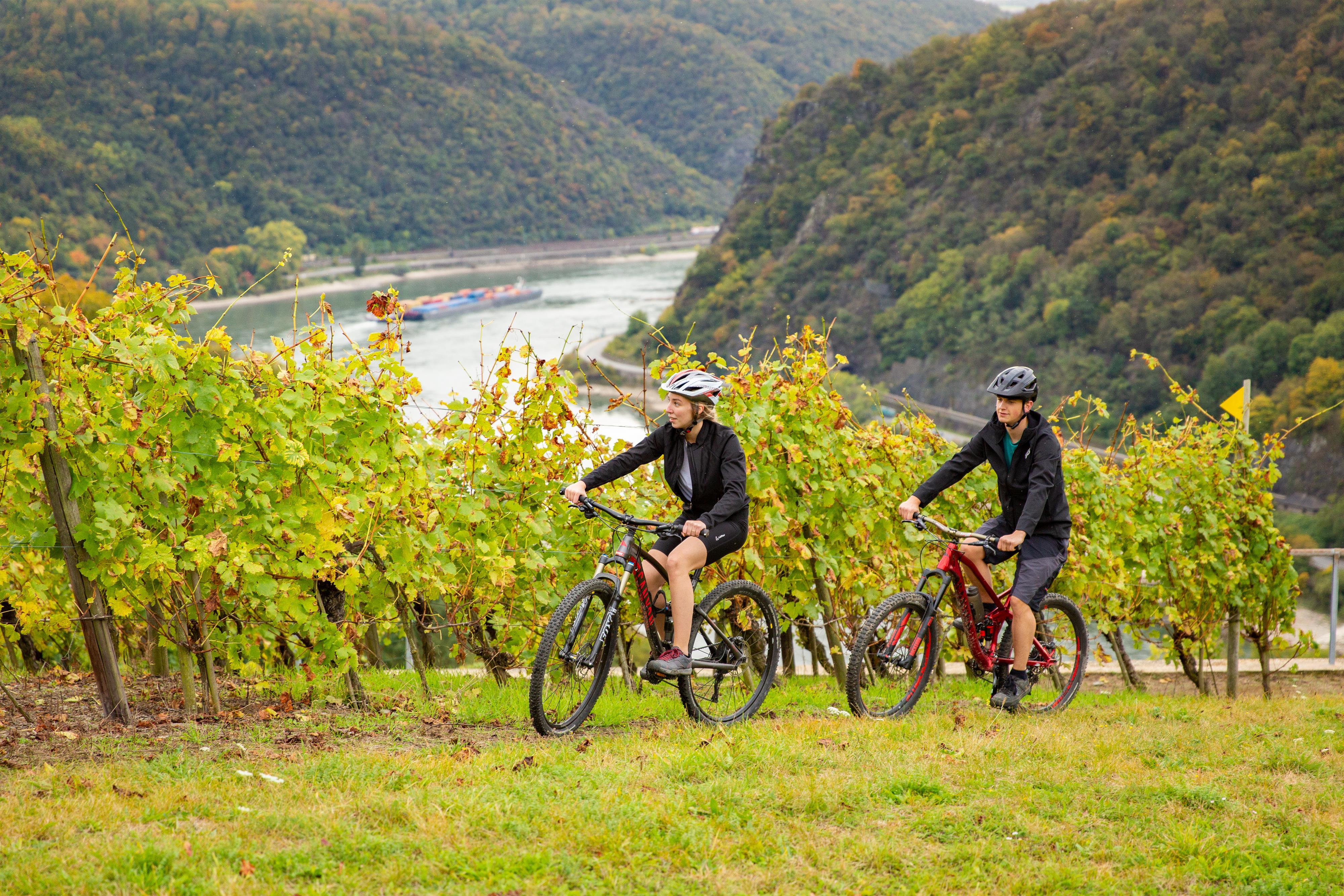 E Bike Verleih Heidelberg