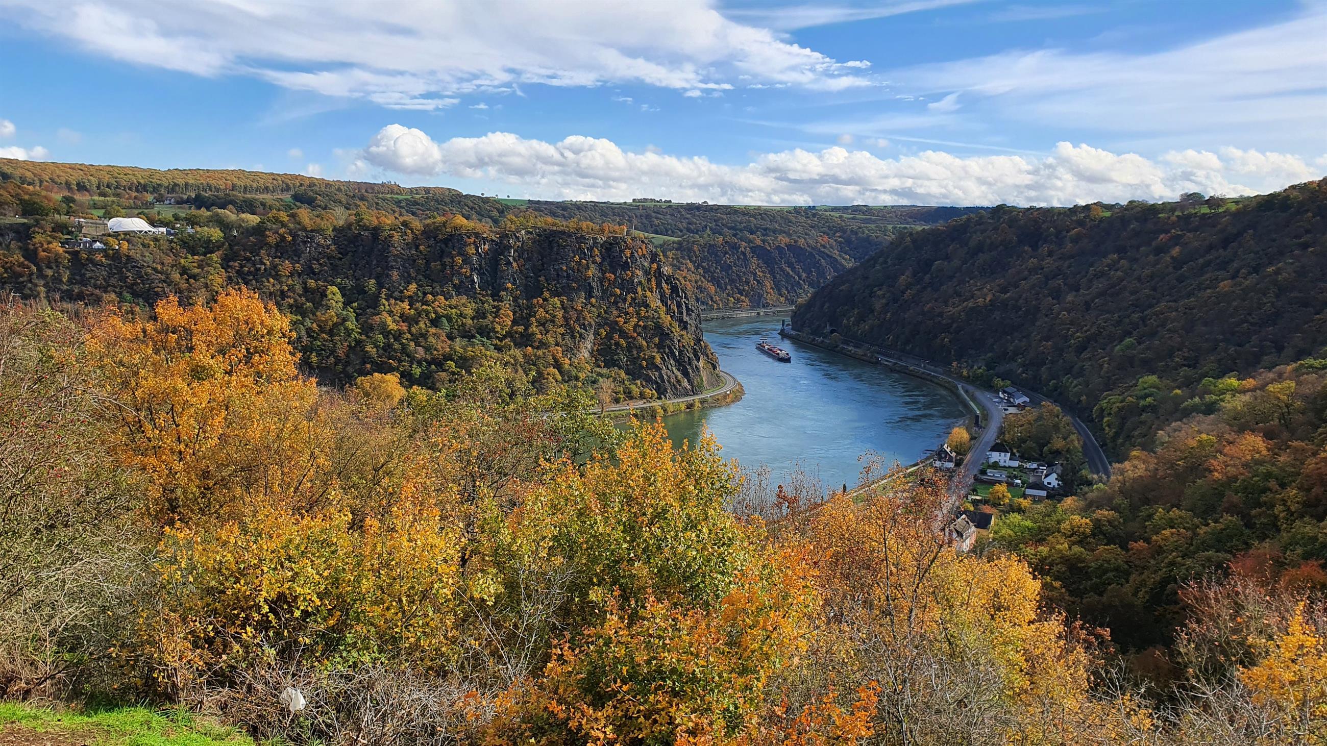 Aussichtspunkt Rheinschleifenblick