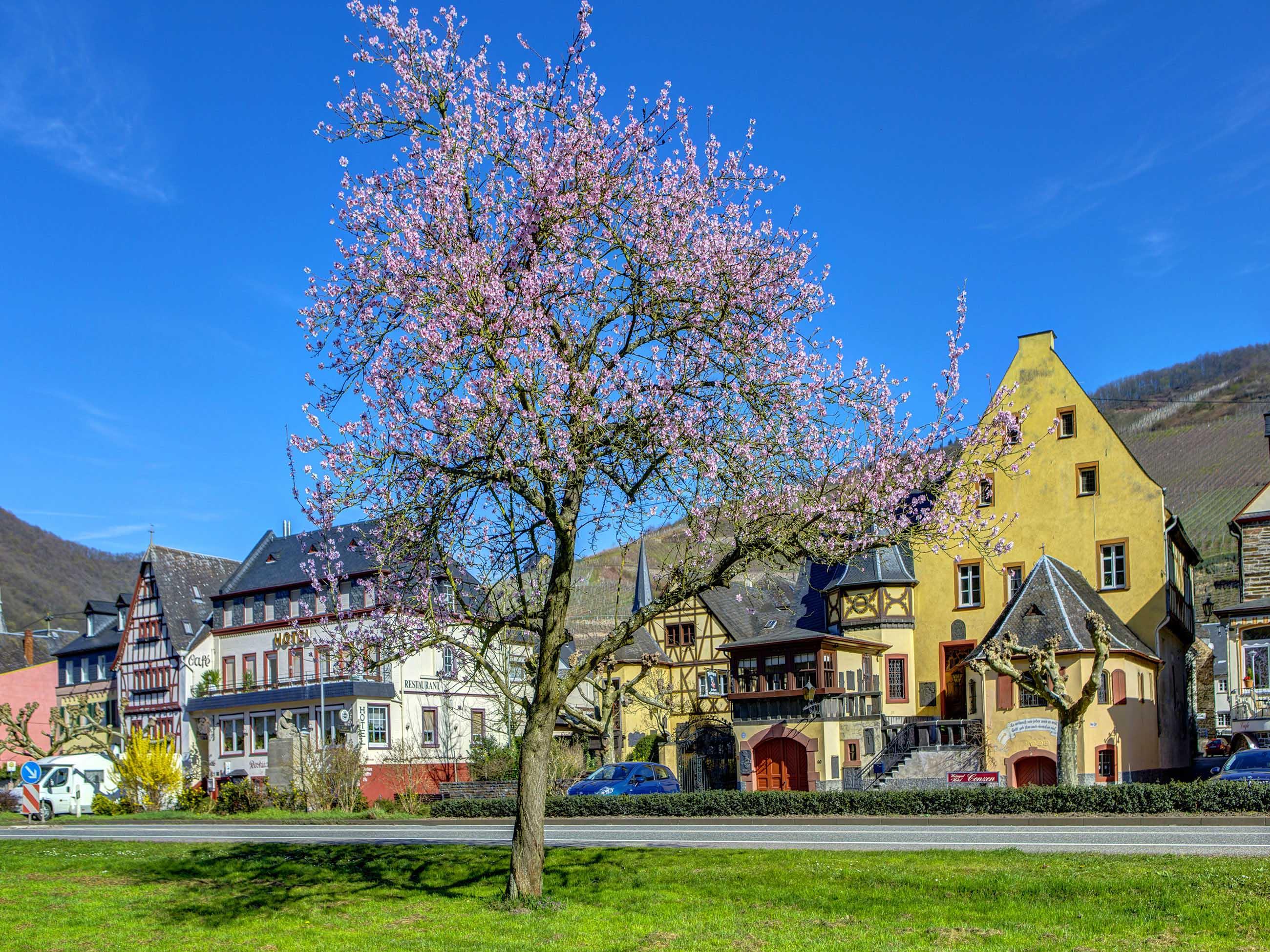 Tourist Information Calmont Region