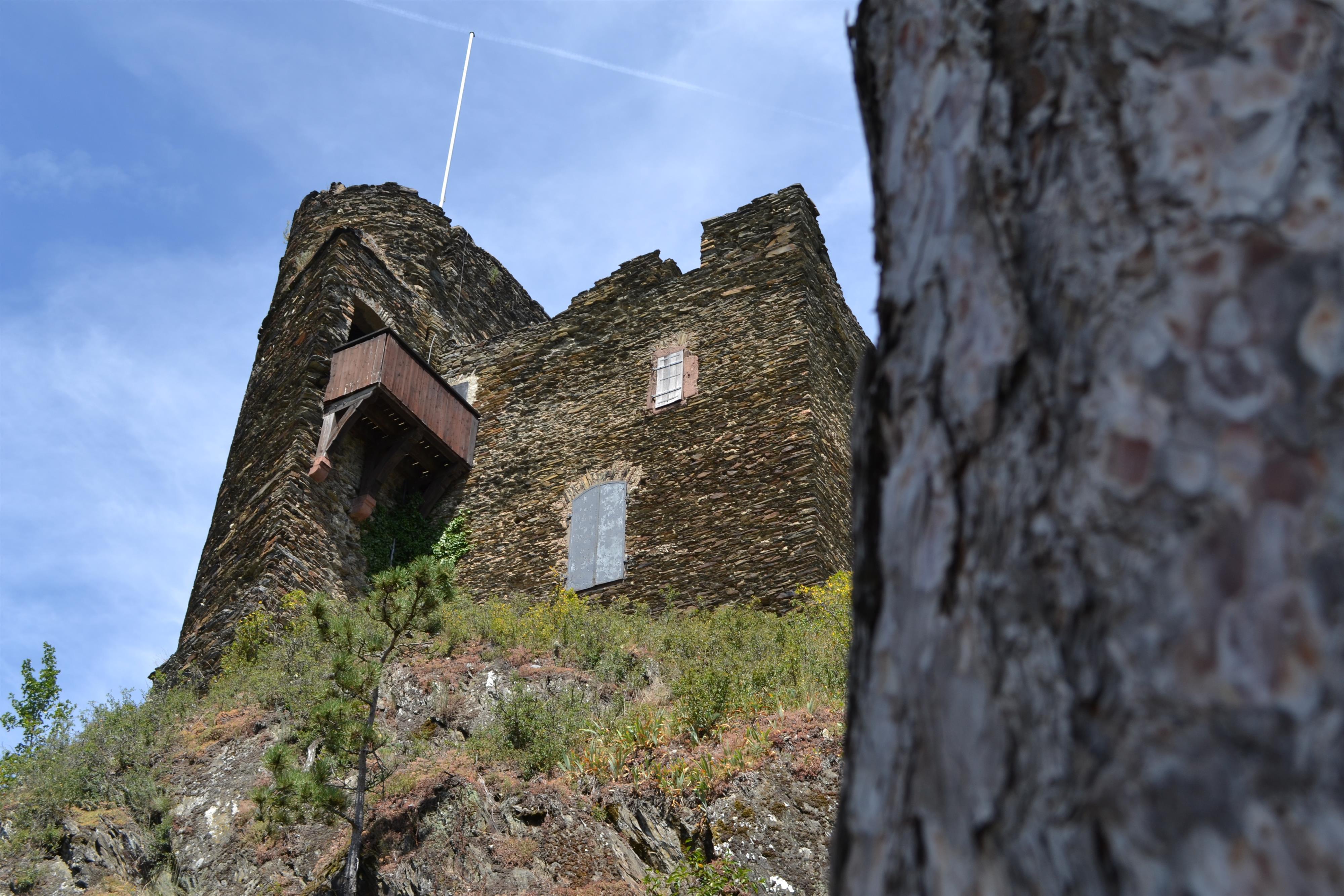 Ruine Nollig