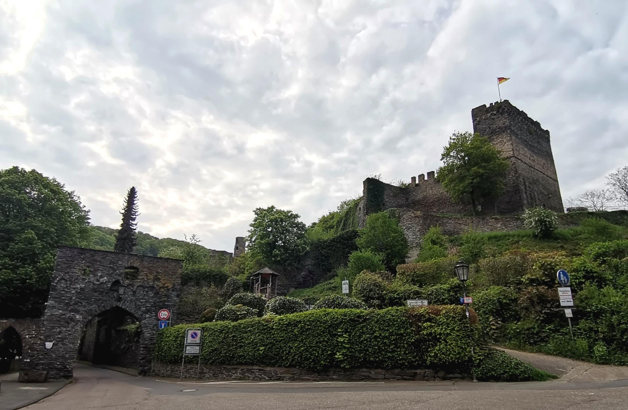 Naturpark Rhein Westerwald: "Biodiversität im Naturschutzgebiet"