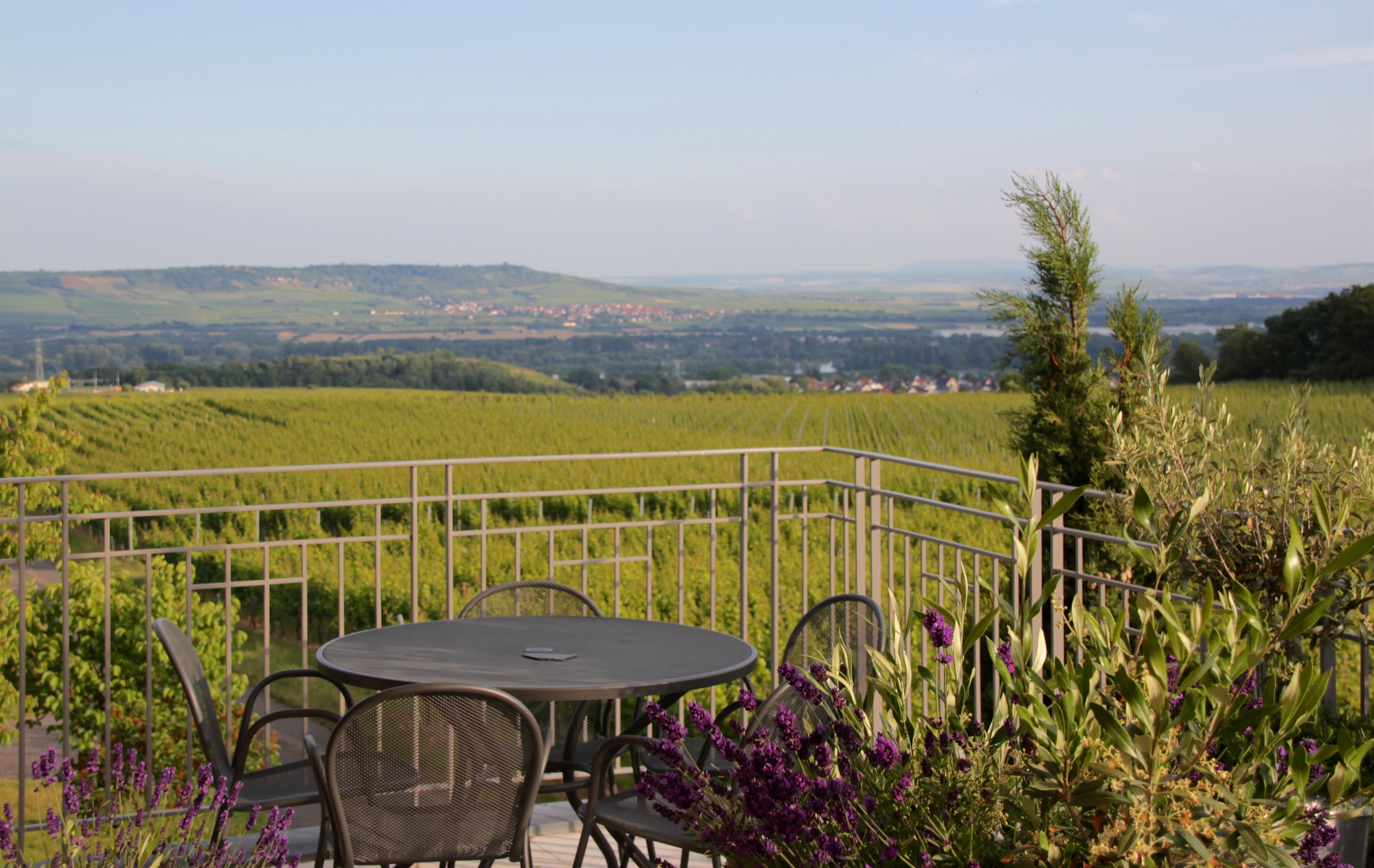 Strausswirtschaft im Weingut Freimuth