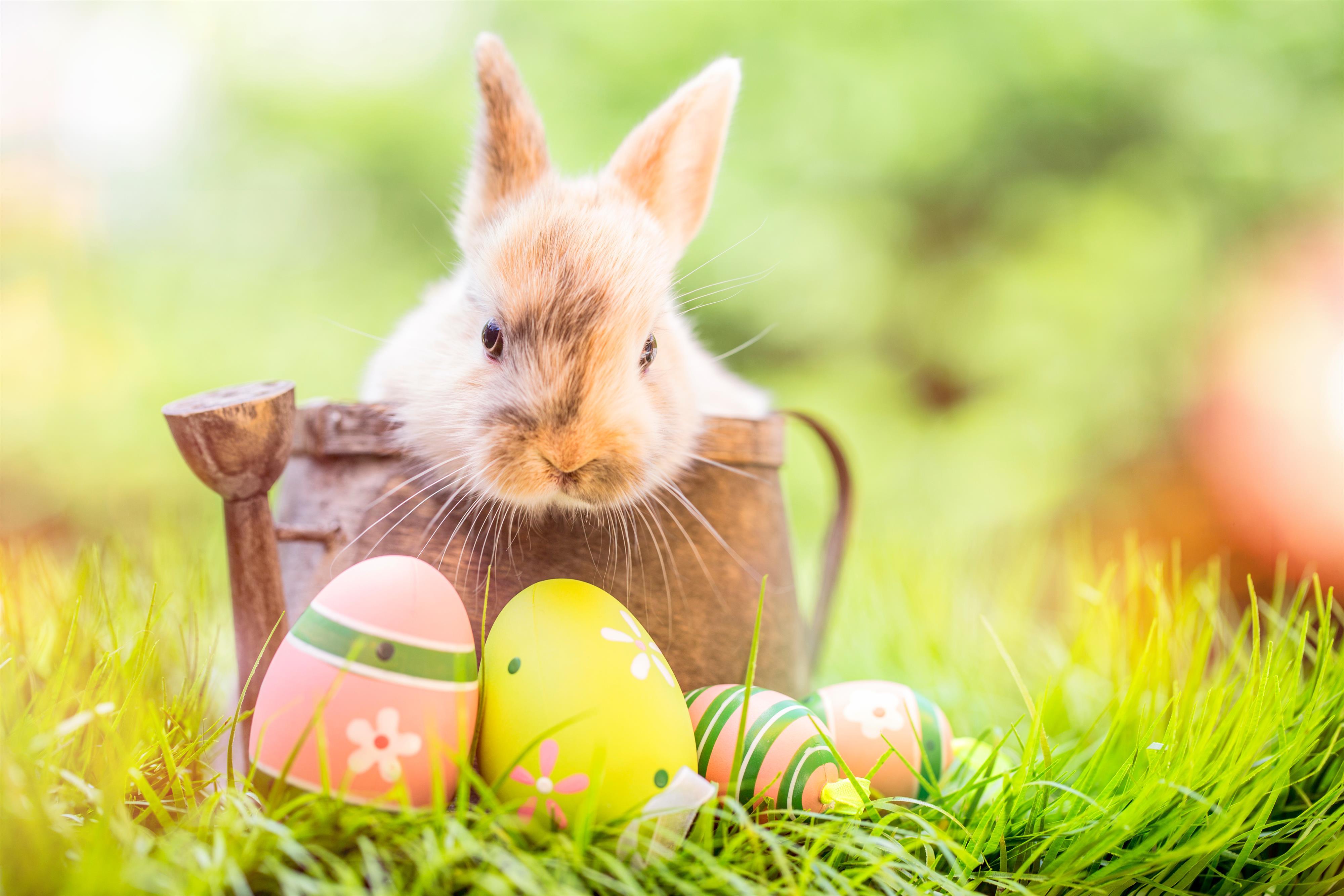 Easter brunch at the Kiebel Winery | Event