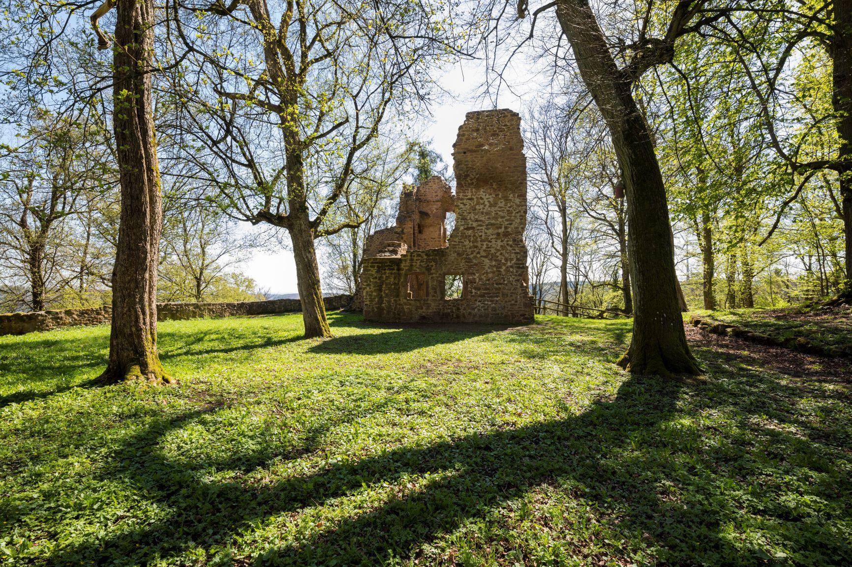 castle ruins Rauschenberg | Infosystem