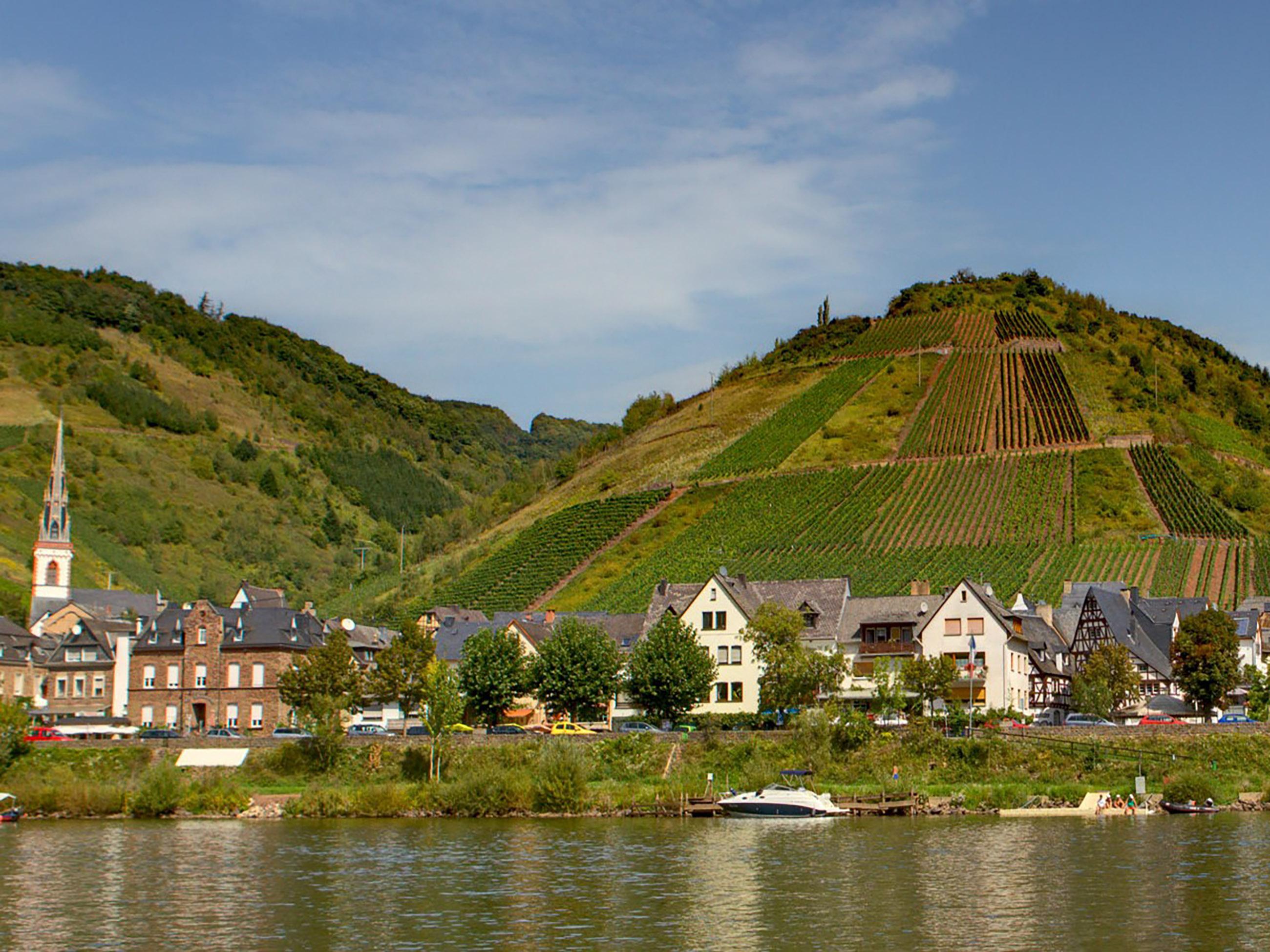 Ortsgemeinde Ediger-Elller