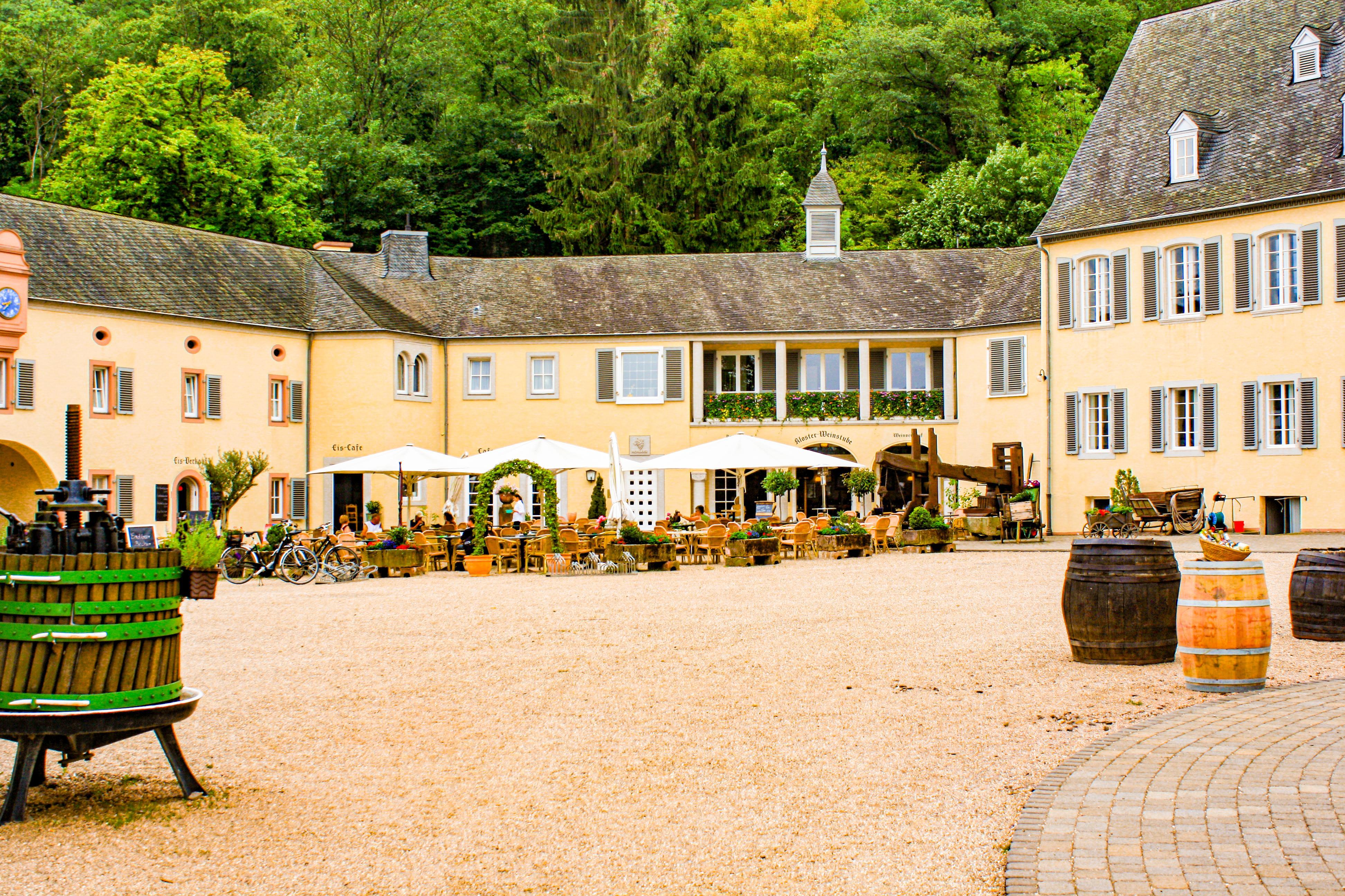 Jungwinzer Rheingau | Junge Generation der Weinregion Rheingau