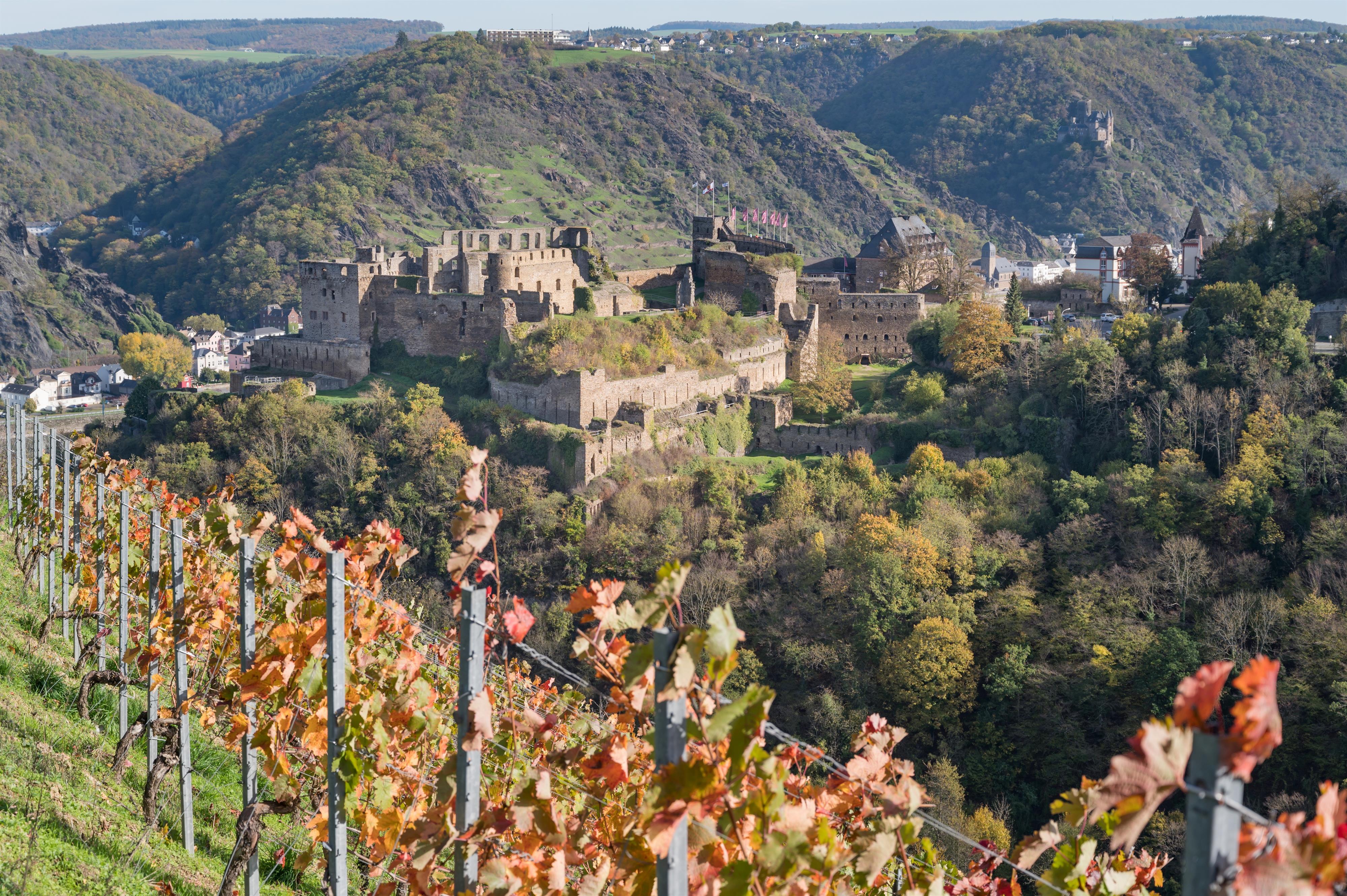Burg Rheinfels