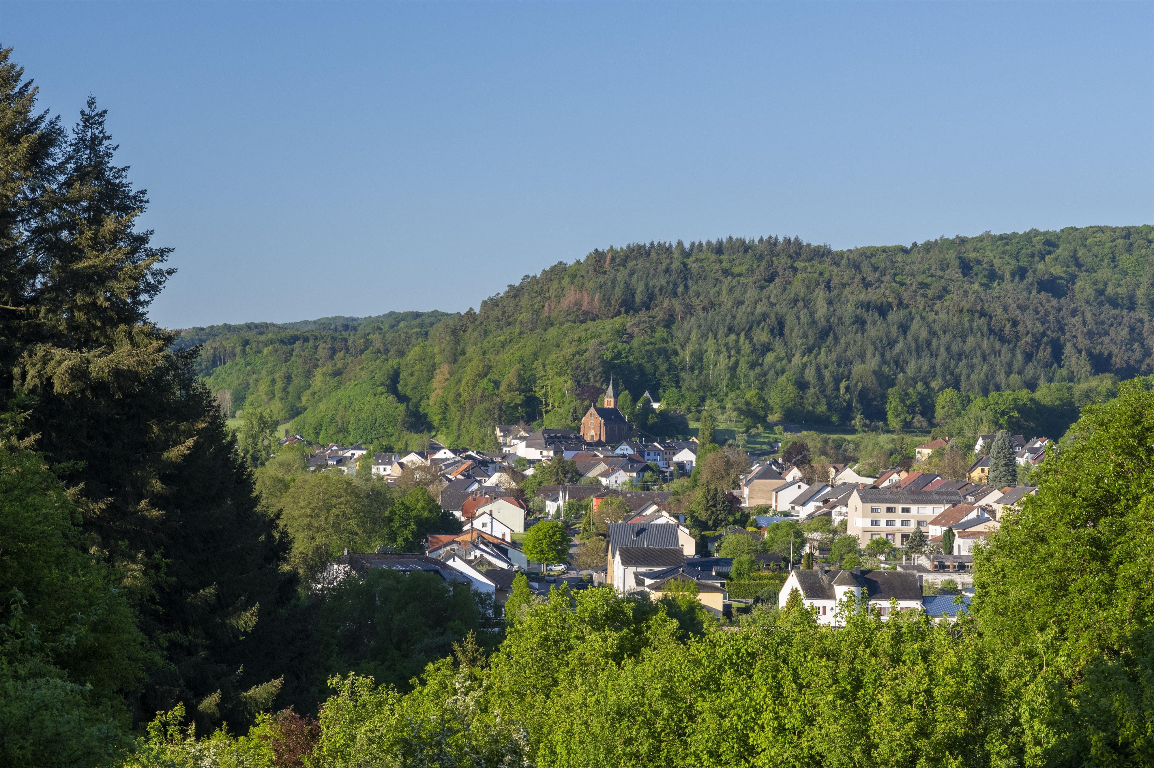 Aussichtspunkt mit Blick auf Trassem | POI