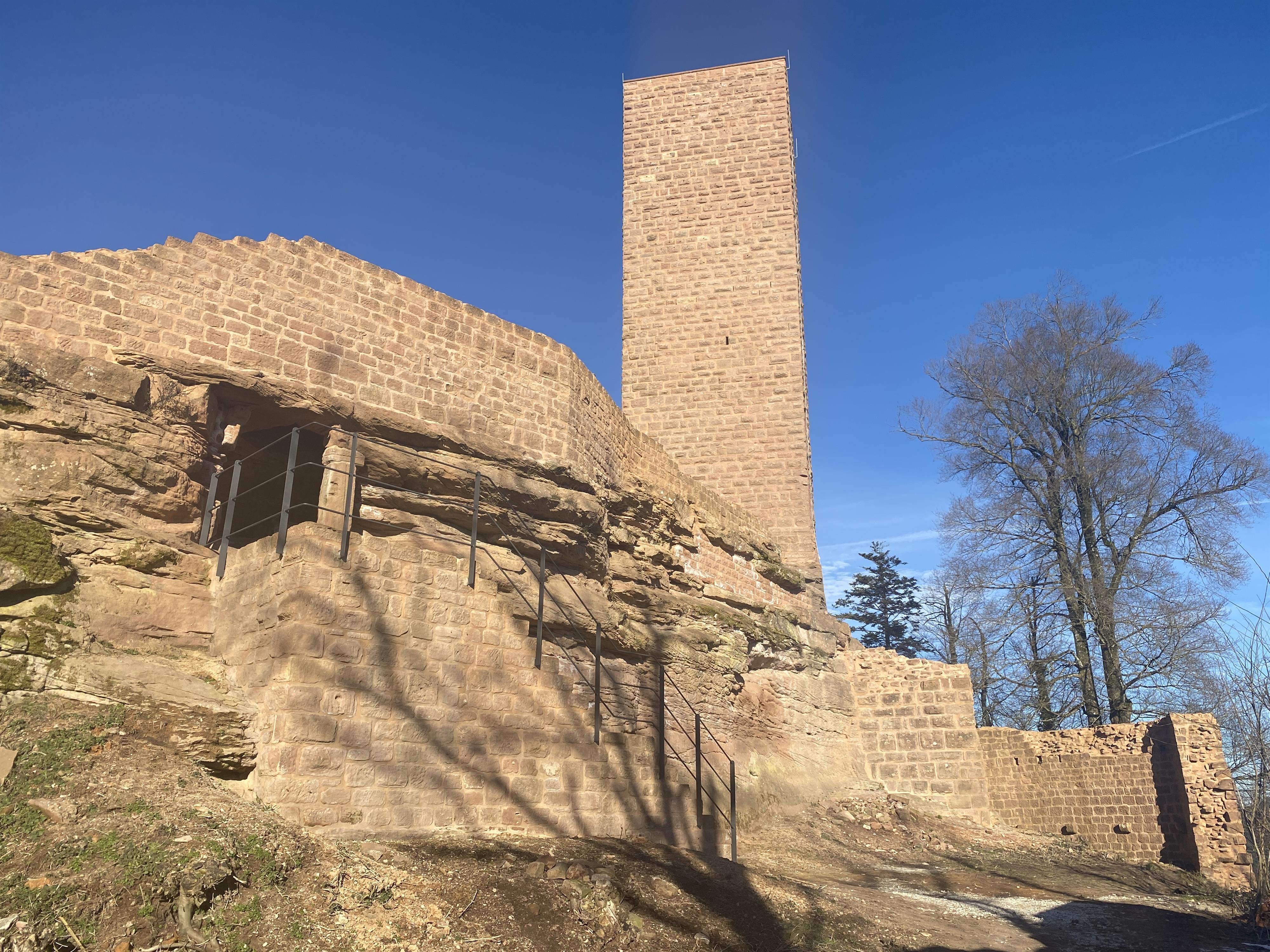Burgruine Scharfenberg | Burgen und Schlösser