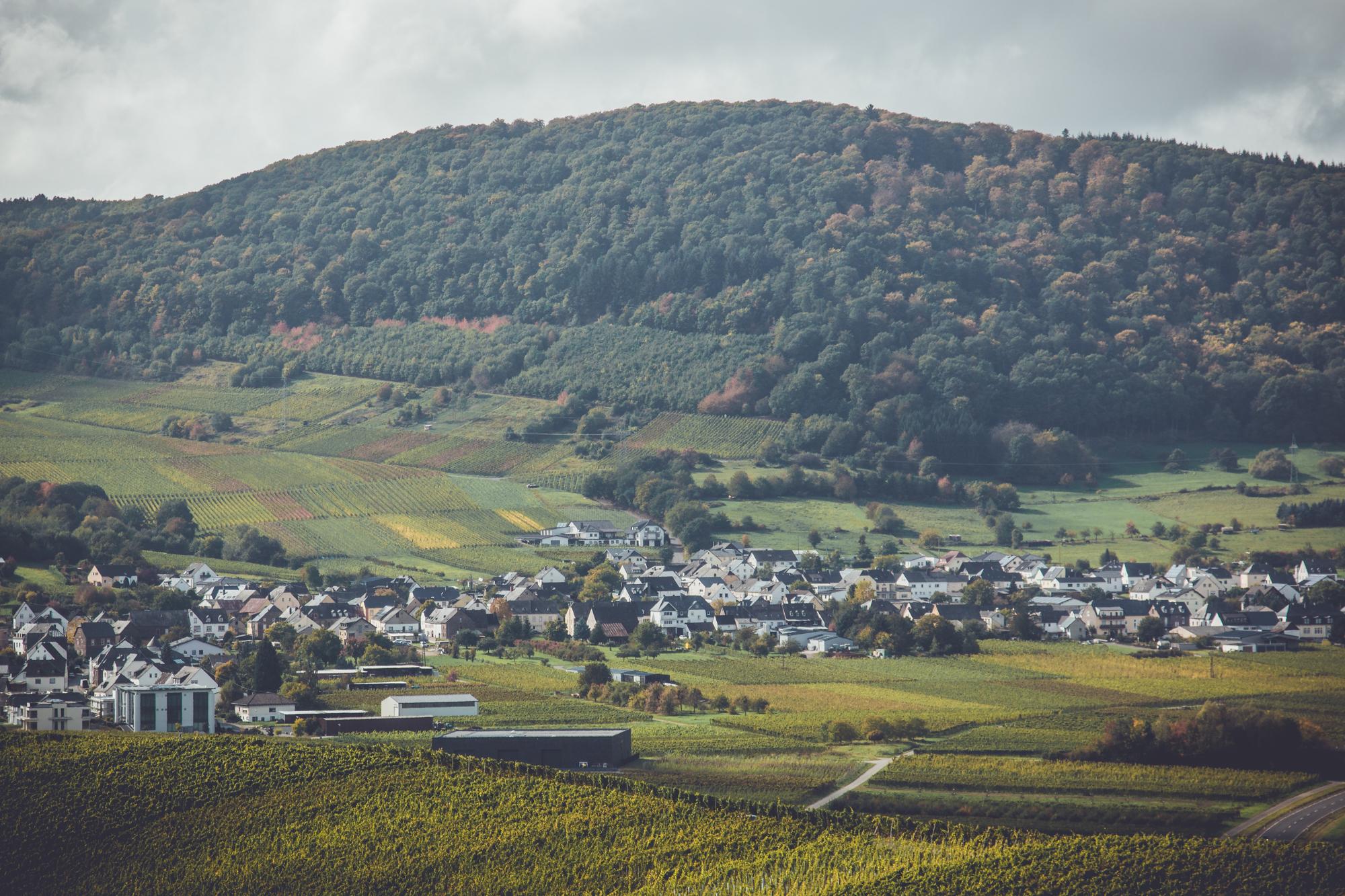 Aussichtspunkt Monzeler Kätzchen in Osann-Monzel