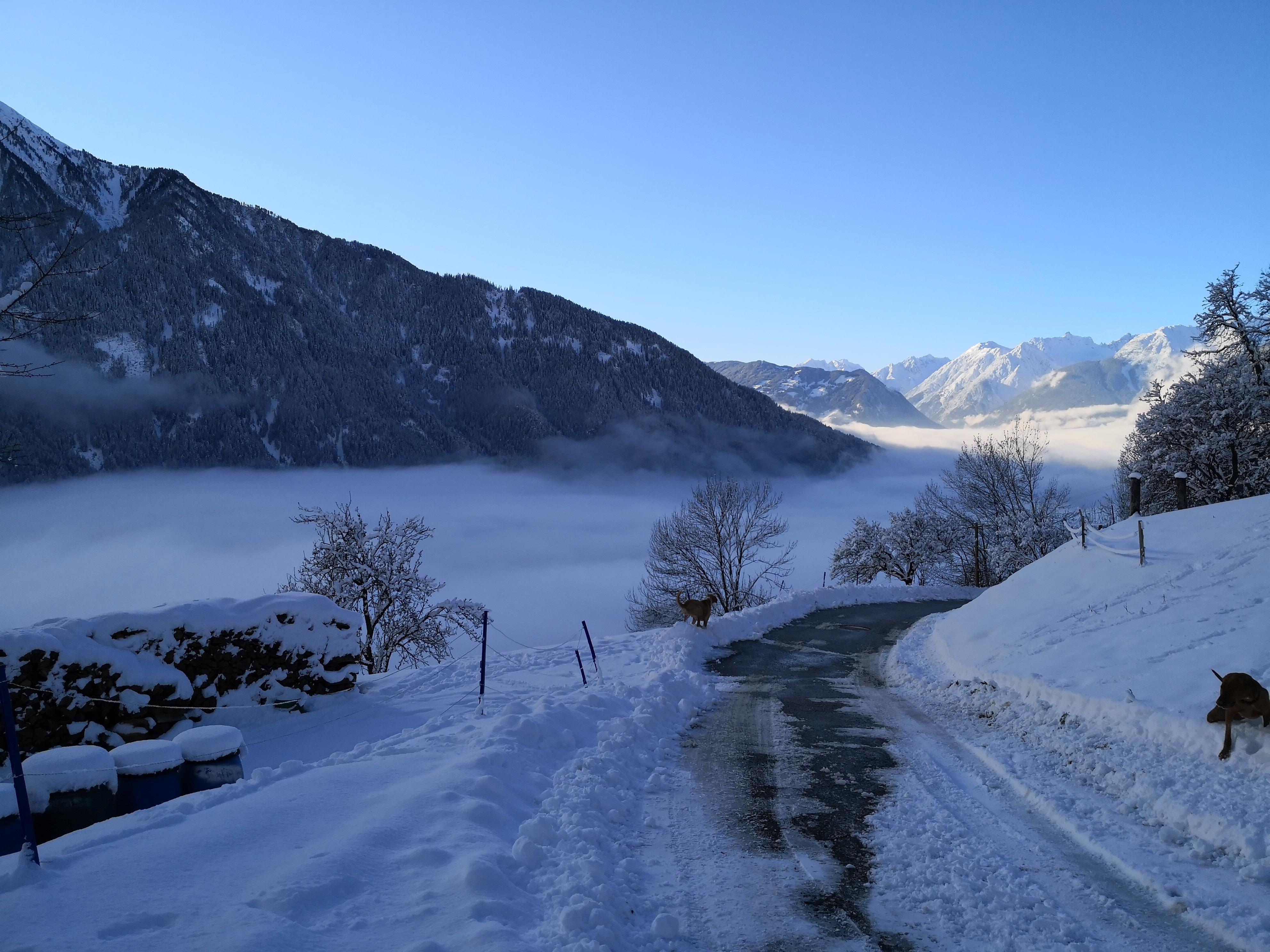 Wieserhof in Oetz, Tirol | Alpen-Guide.de